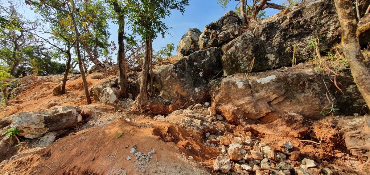 Images & Video - Jupiter Project